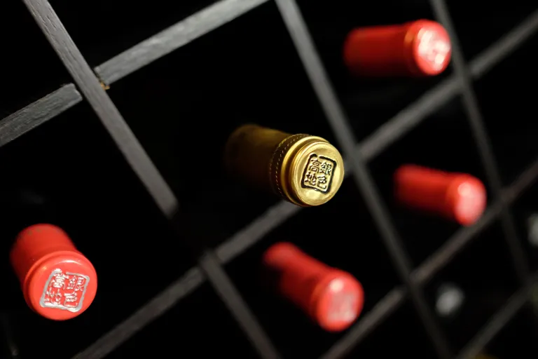 VLS Technologies for the Chinese market | VLS Technologies